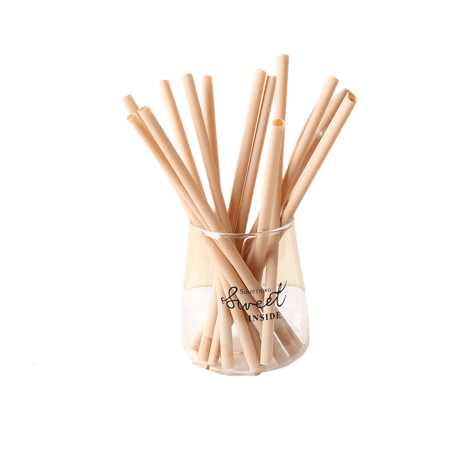Leading manufacturer of Eco-Friendly Drinking Straws – GREENBOXSTRAW